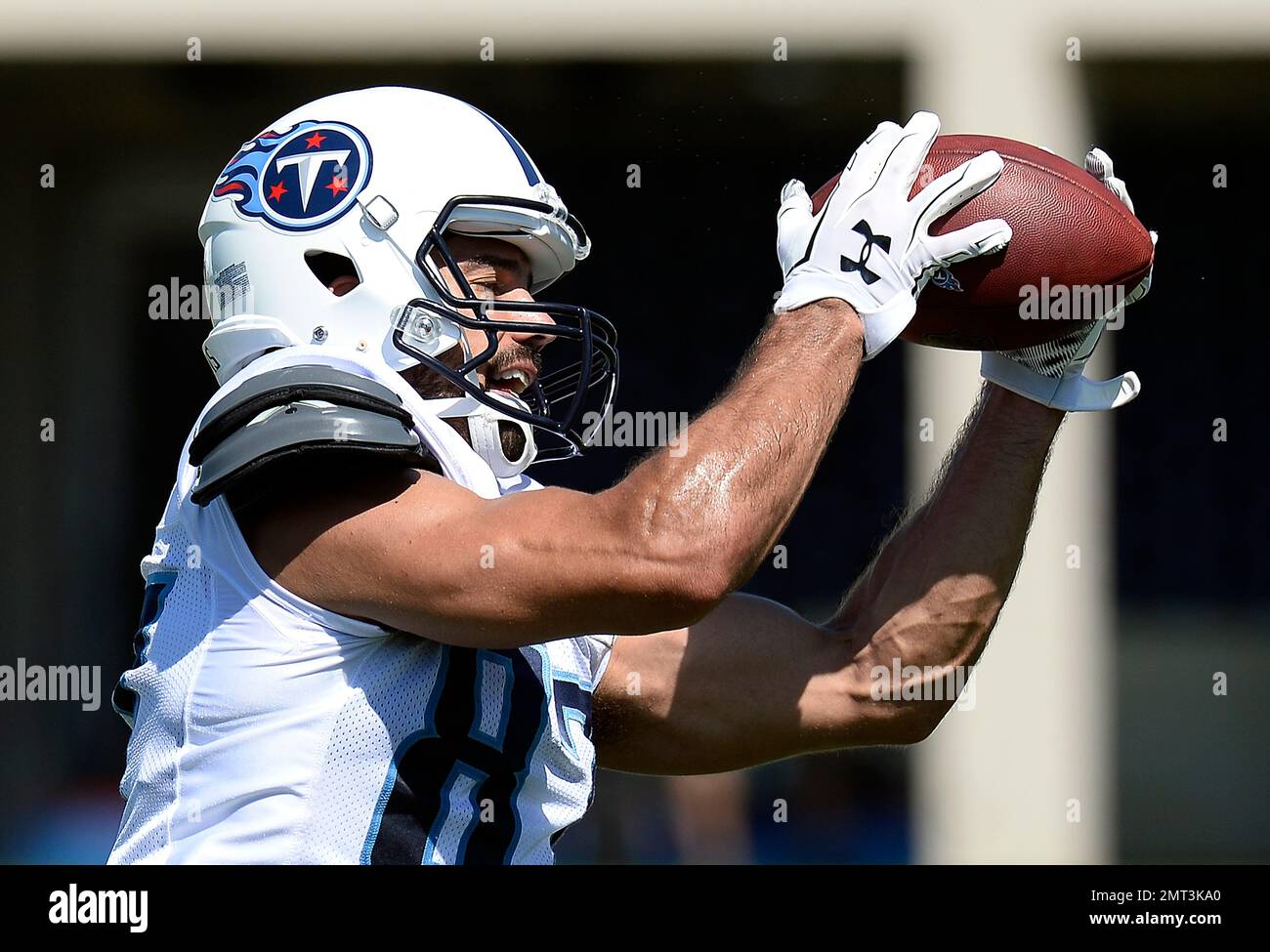 Tennessee Titans wide receiver Eric Decker catches a pass during NFL ...
