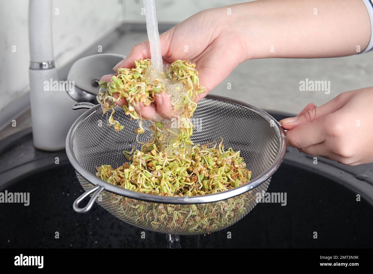 Woman washing sprouted green buckwheat over sink, closeup Stock Photo ...