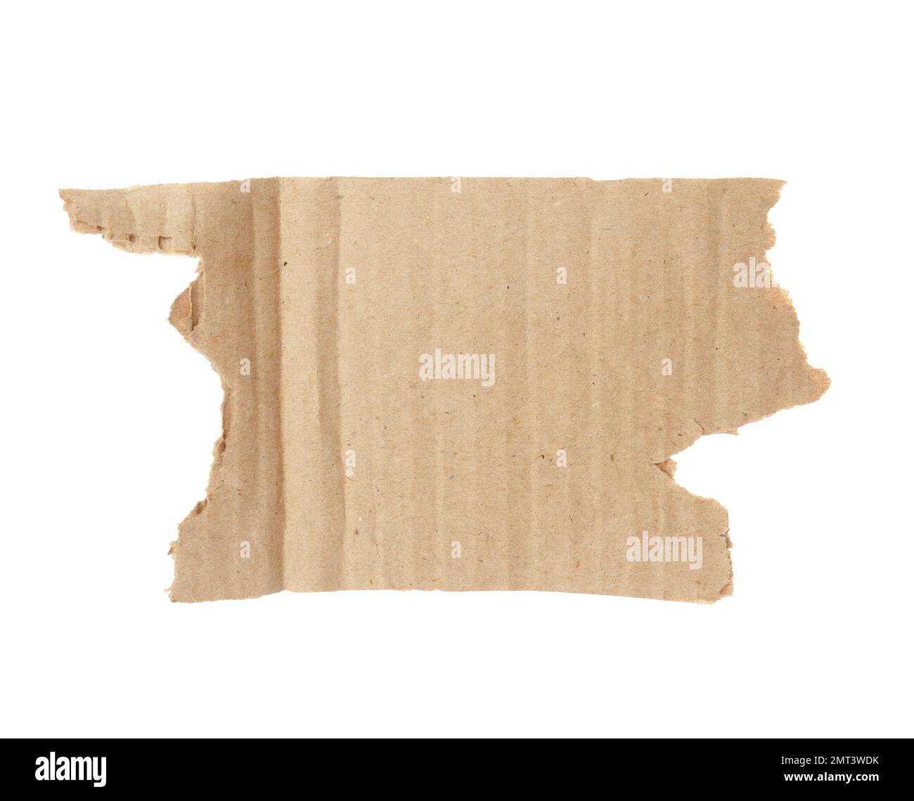 Piece of torn cardboard isolated on white Stock Photo - Alamy