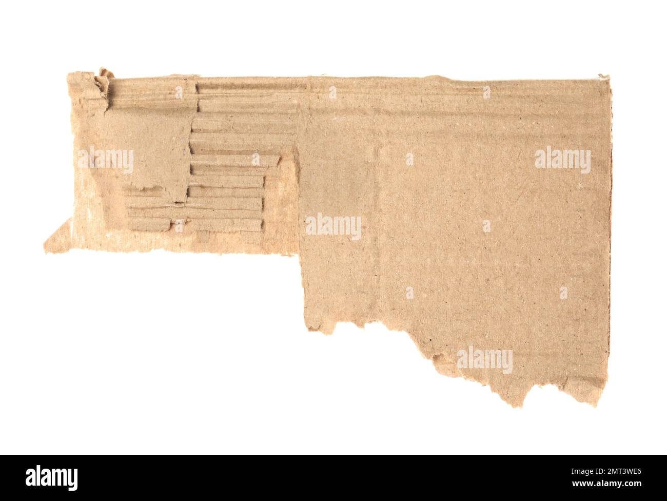 Piece of torn cardboard isolated on white Stock Photo - Alamy