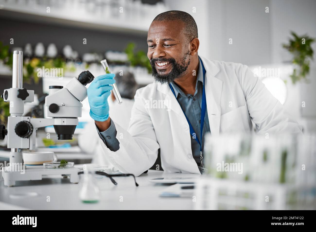 Science, sustainability and sample with a black man doctor working in a ...