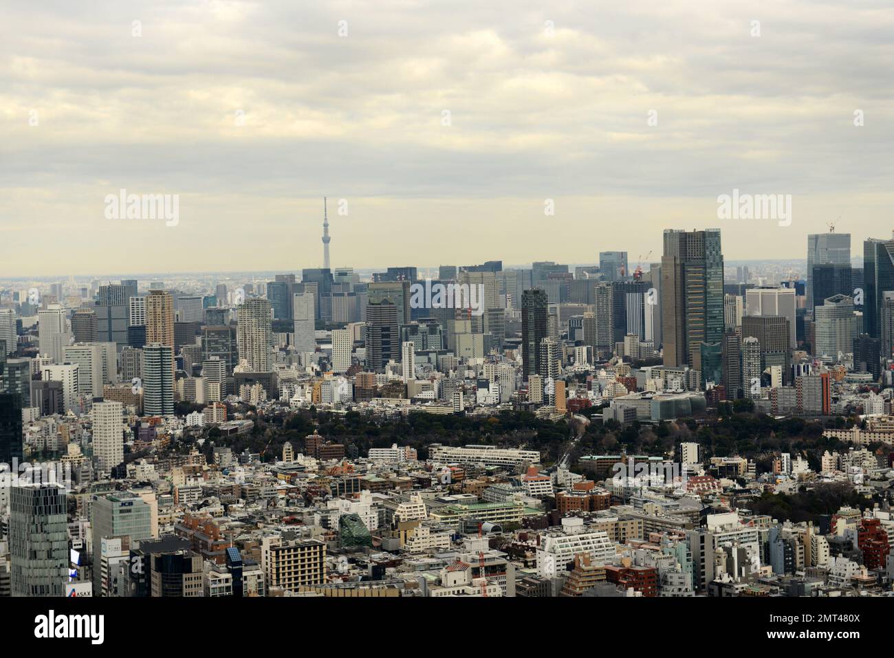 Tokyo city japan landscape modern hi-res stock photography and images ...