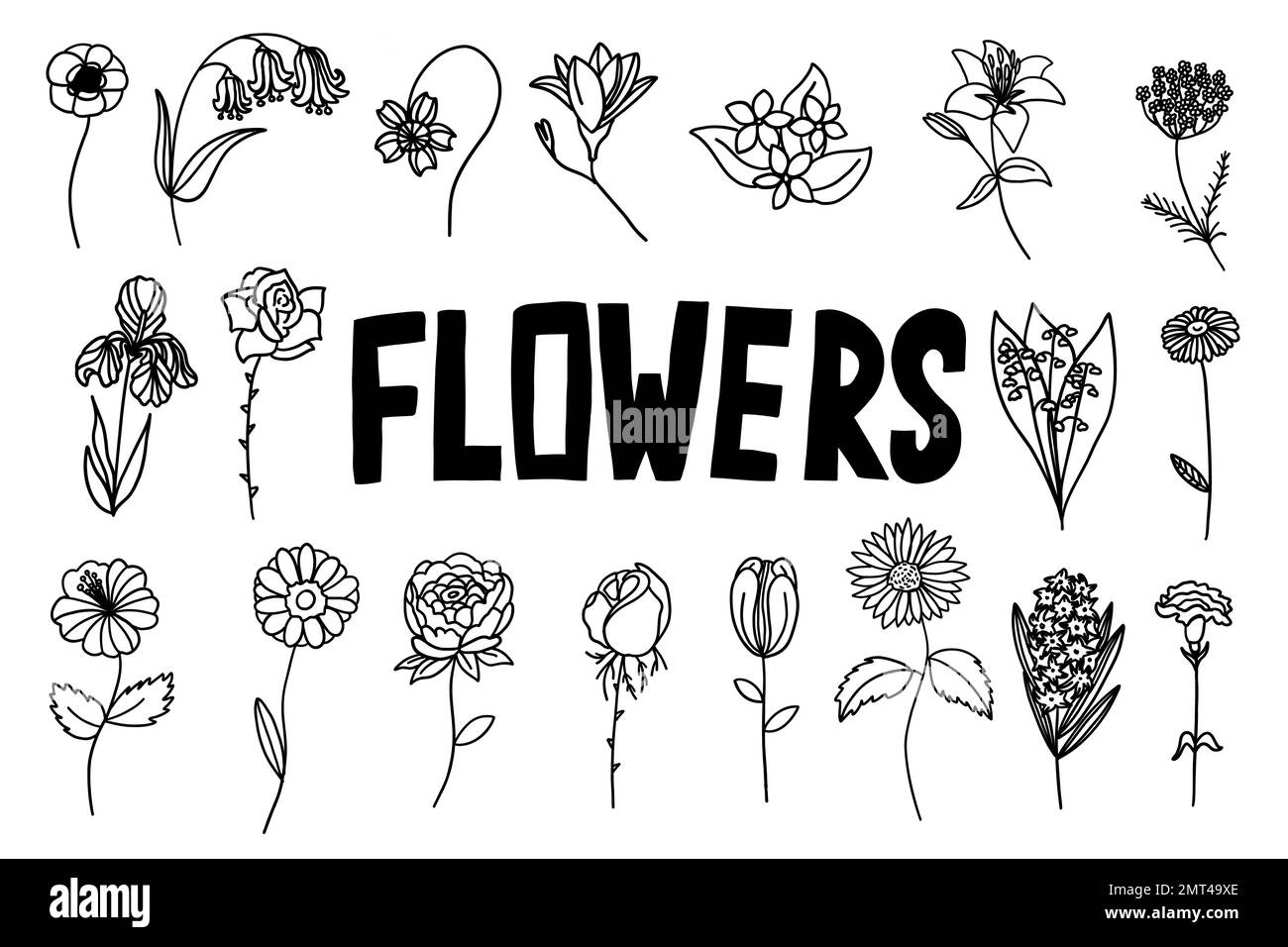 Flowers set in outline doodle flat style. Vector illustration set on ...