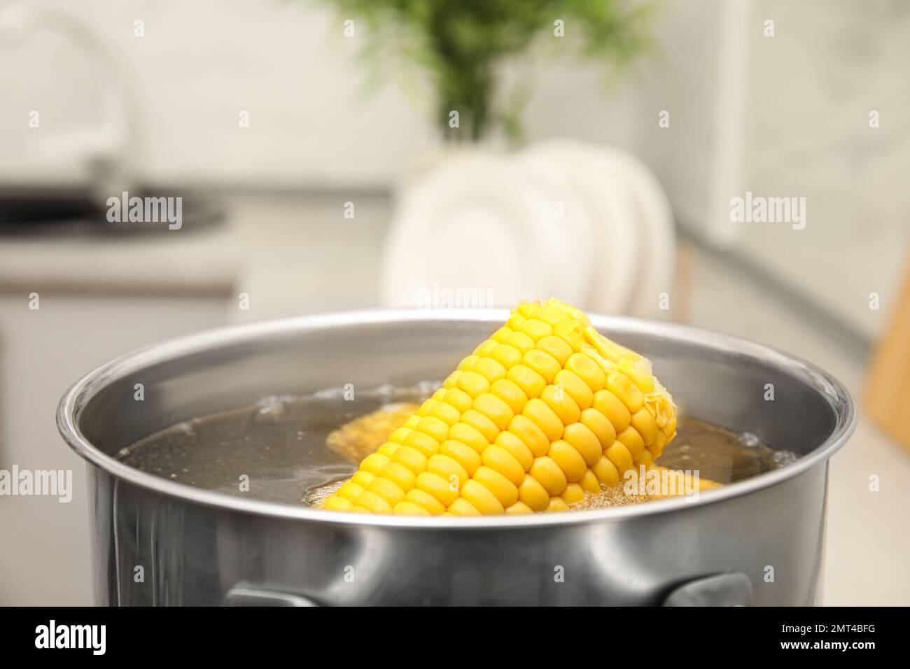 Boiling corn hi-res stock photography and images - Alamy