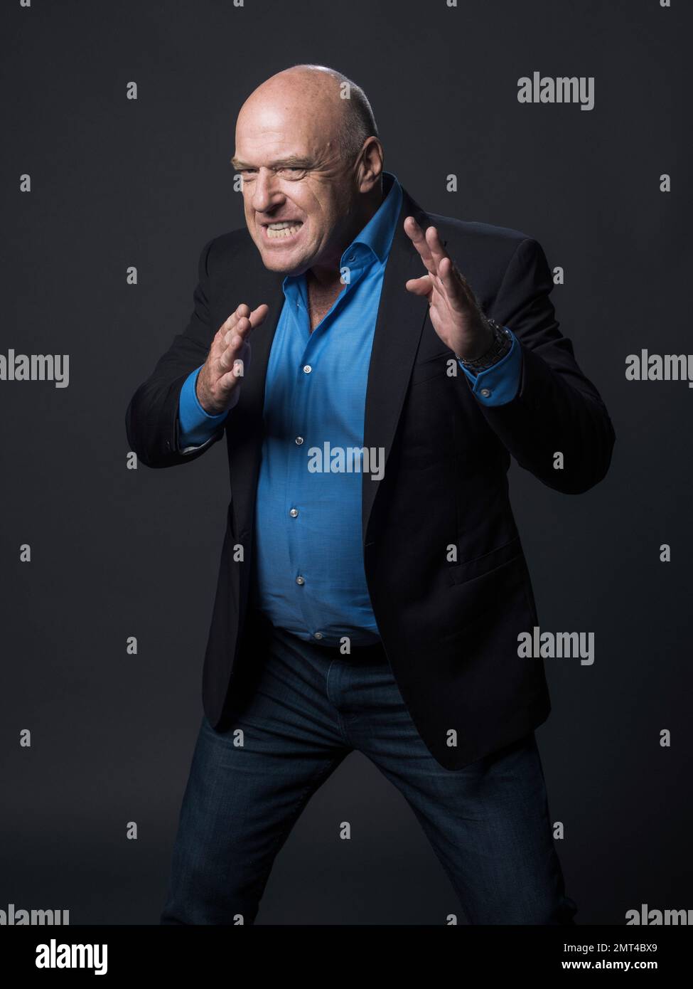 Dean Norris poses for a portrait while promoting TNT's "Claws" during ...