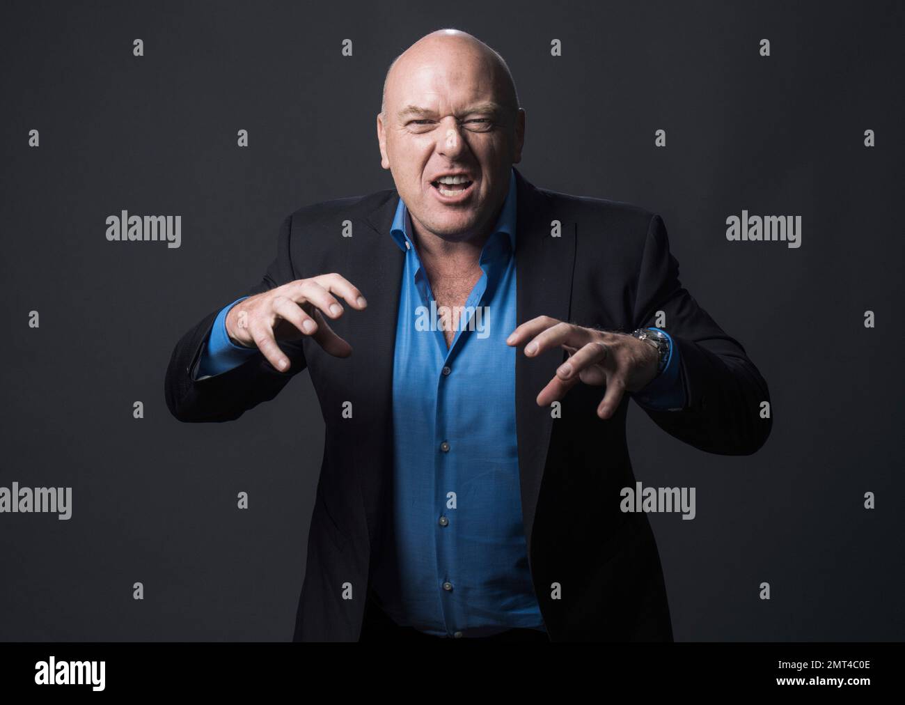 Dean Norris poses for a portrait while promoting TNT's "Claws" during ...