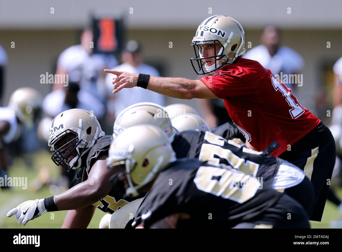 New Orleans Saints quarterback Drew Brees (9) reacts during an NFL ...
