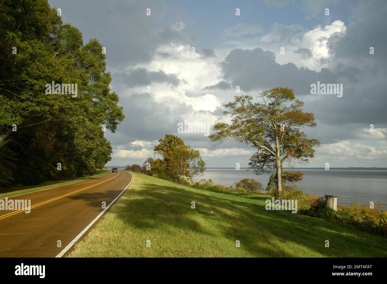 USA, Deep South,Mississippi, Canton, Natchez Trace Stock Photo - Alamy