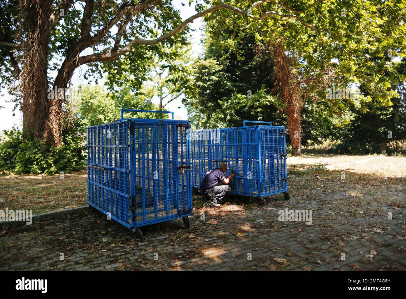 In this Wednesday, July 26, 2017 photo, a health care member of the ...