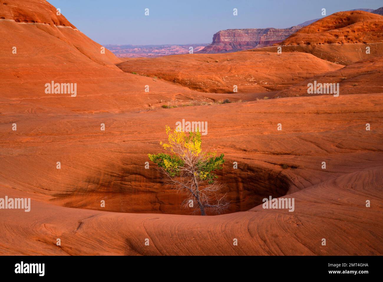 USA, Utah, Southwest, Colorado Plateau, Dance Hall Rock, Historic Site ...