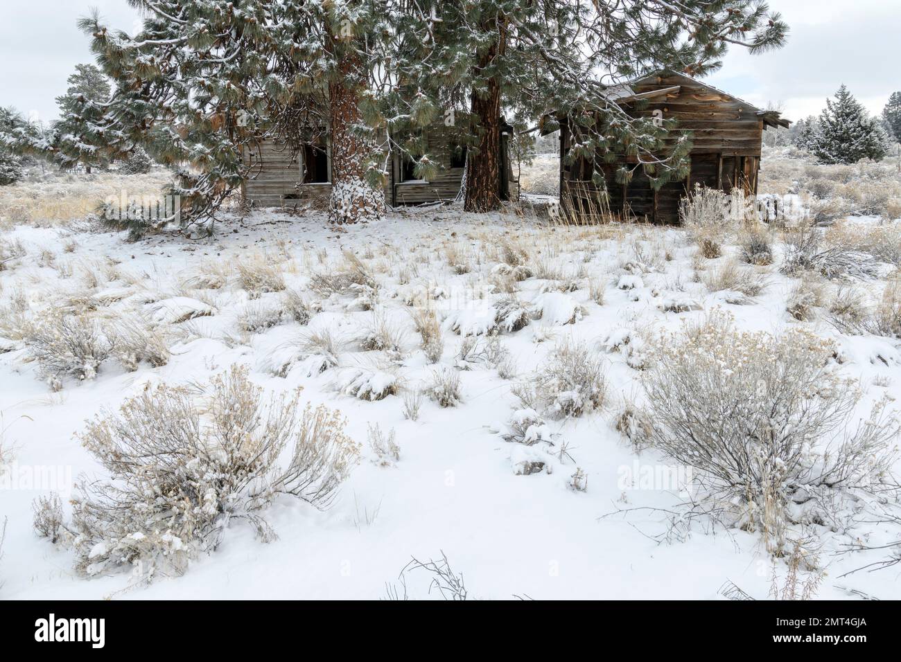 Old cook house hi-res stock photography and images - Alamy