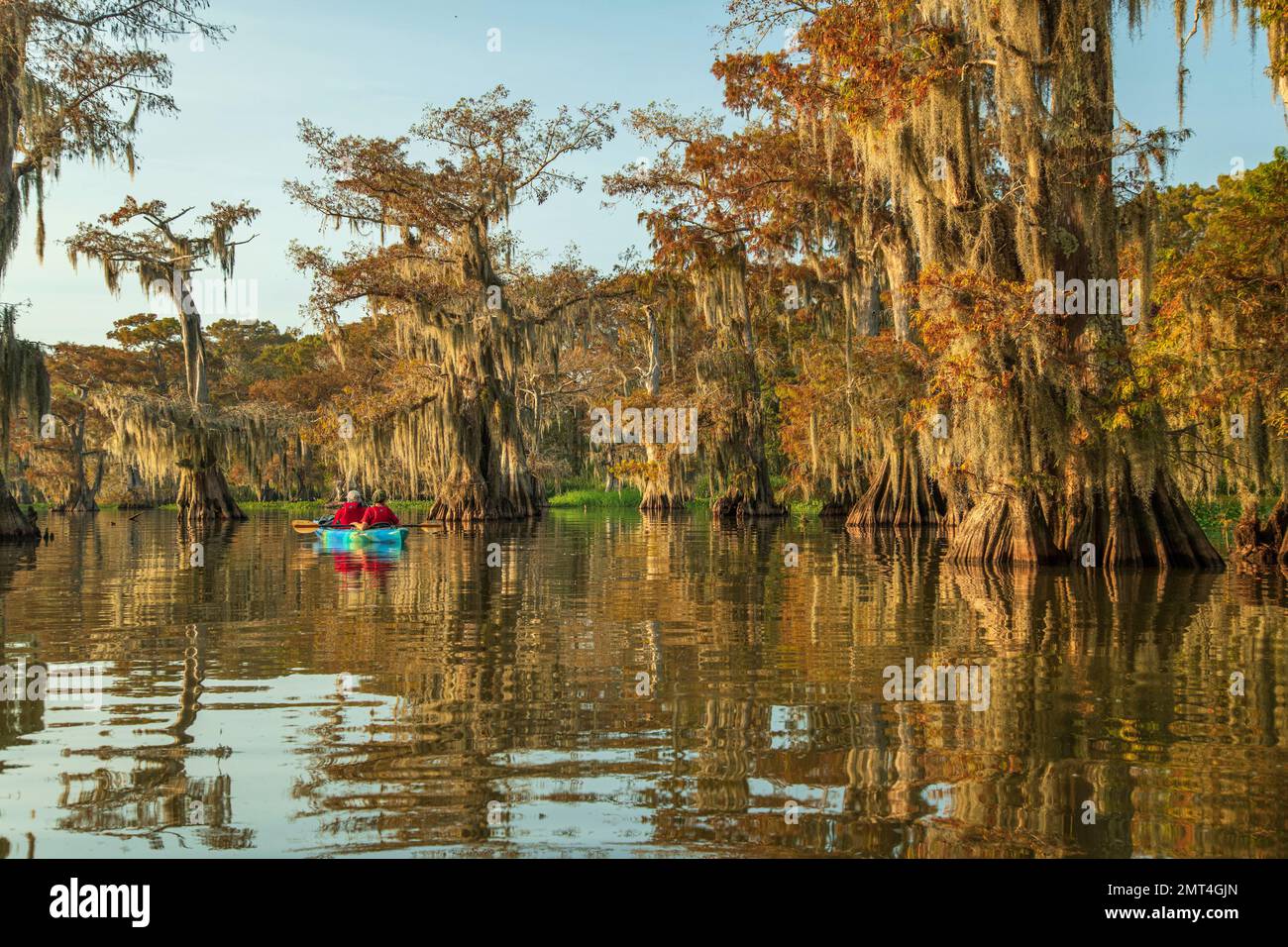 USA, Deep South, Louisiana, Atchafalaya Basin, Lake Fausse Pointe State ...