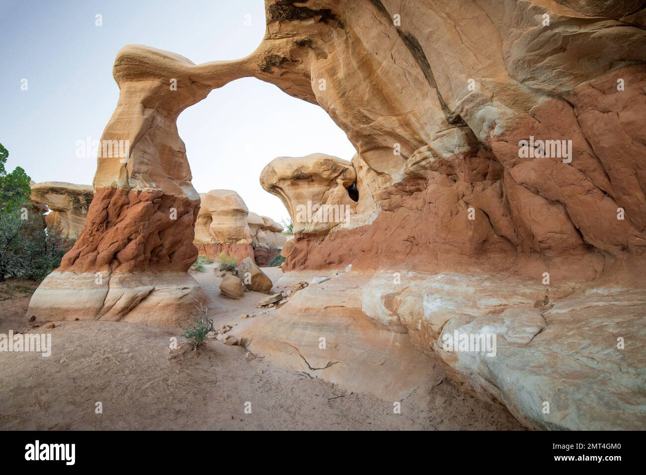 USA, Southwest, Colorado Plateau, Utah, Devil's Garden, Grand Staircase ...