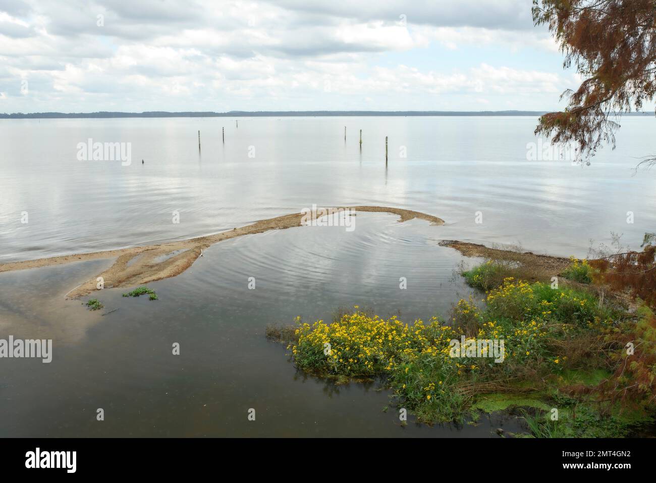 USA, Deep South, Mississippi, Canton, Ross R Barnett Reservoir, Natchez ...