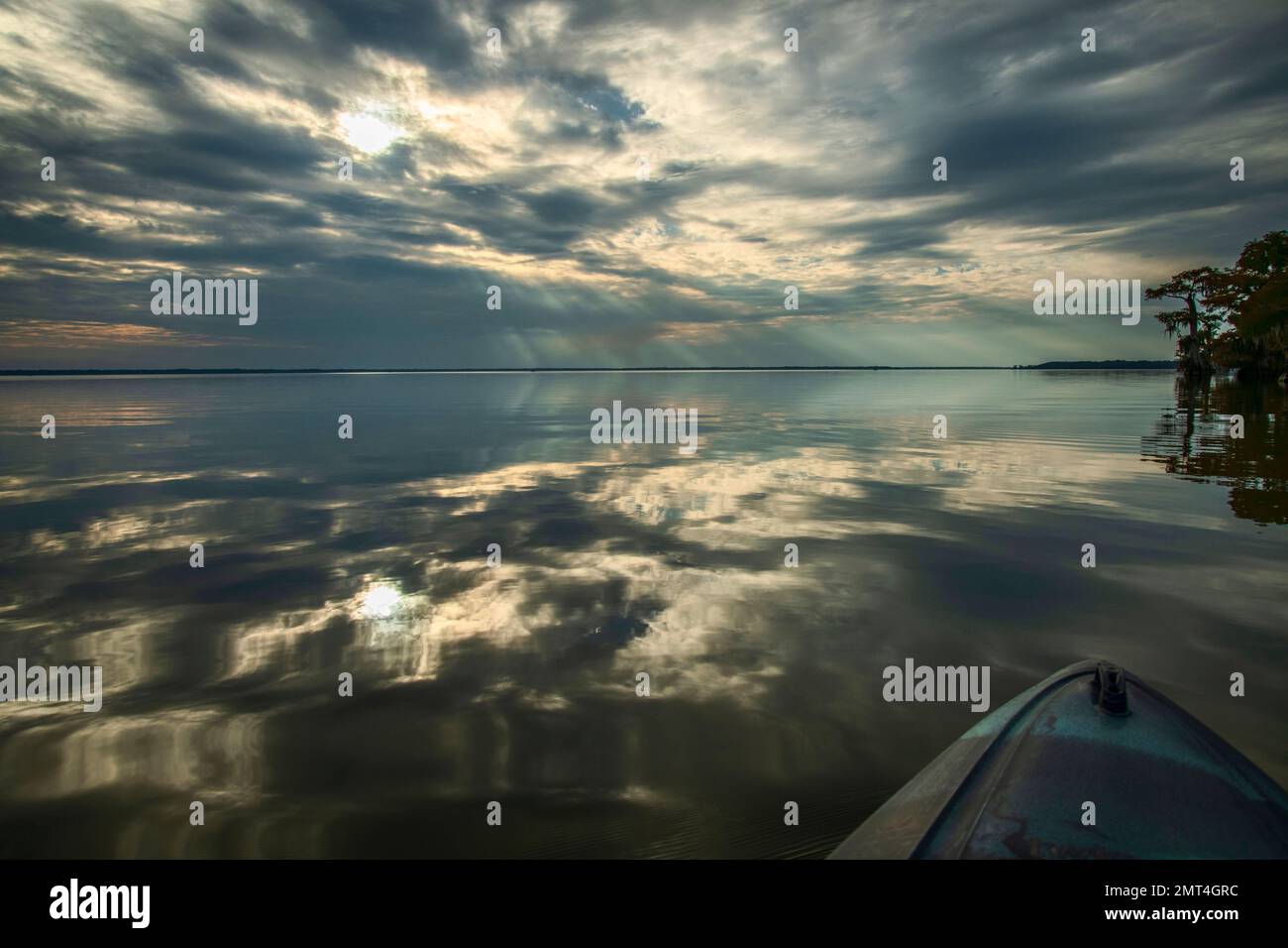 USA, Louisiana, Atchafalaya Basin,, Lake Fausse Pointe State Park Stock ...