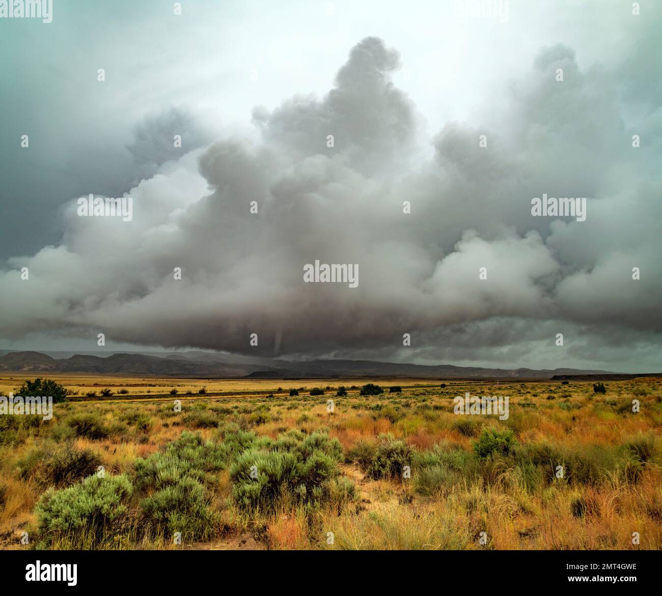 Southwest landscape outback hi-res stock photography and images - Alamy