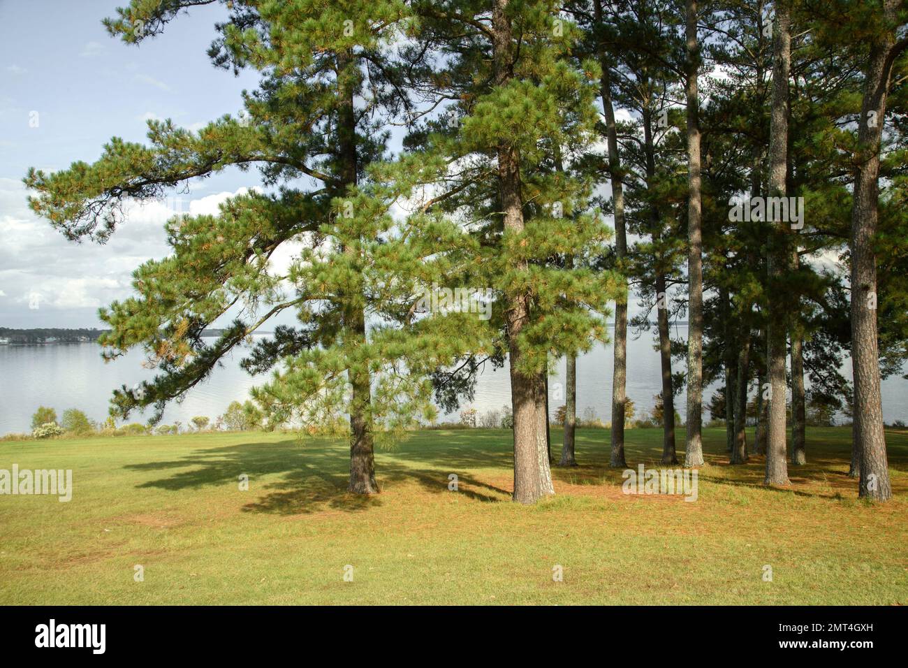 USA, Deep South,Mississippi, Canton, Natchez Trace Stock Photo - Alamy