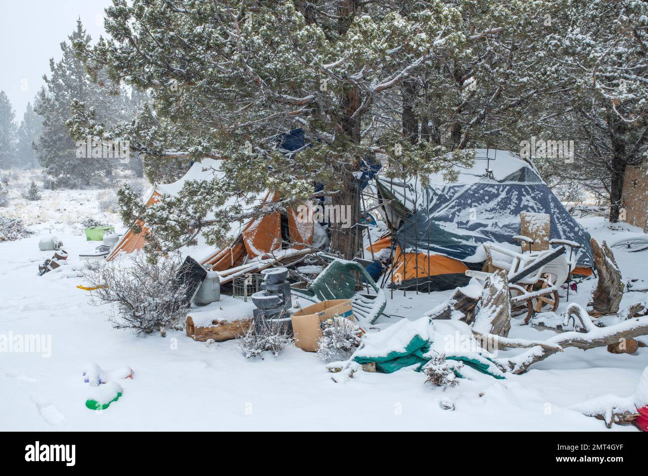 USA, Oregon,Bend,Deschutes National Forest, abandoned homeless camp ...