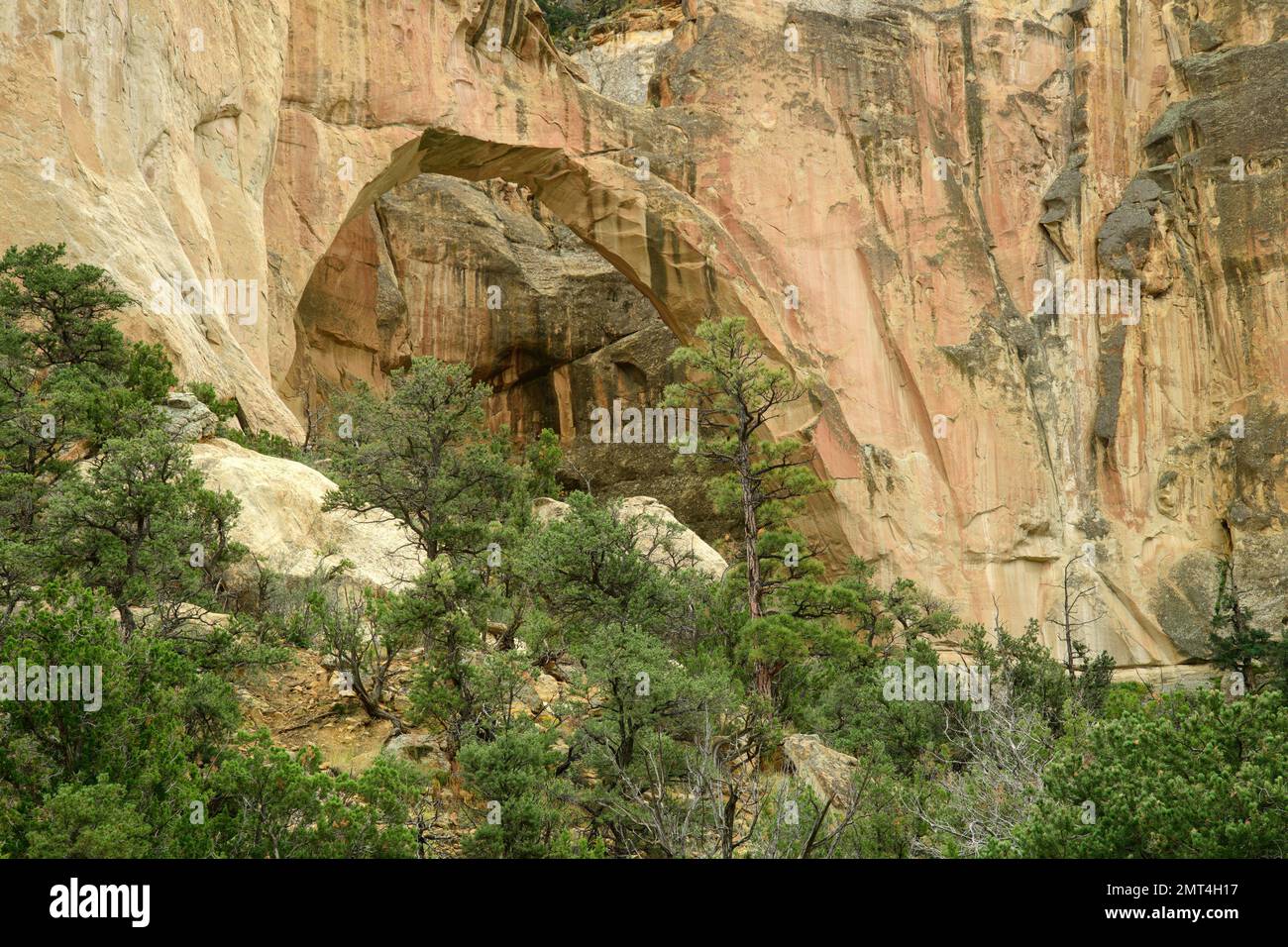 Natural arch new mexico hi-res stock photography and images - Alamy