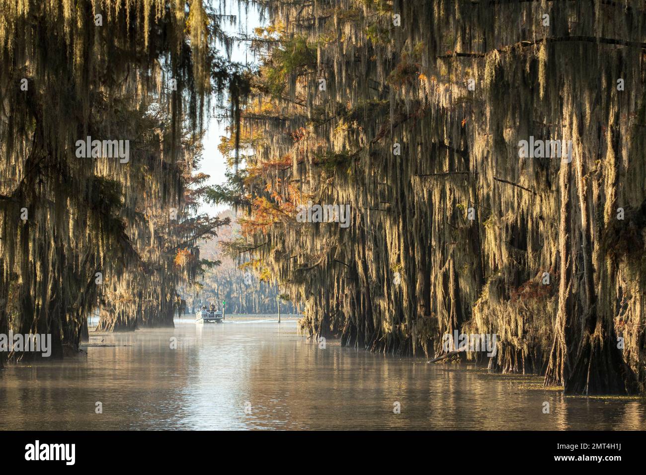 Government ditch hi-res stock photography and images - Alamy