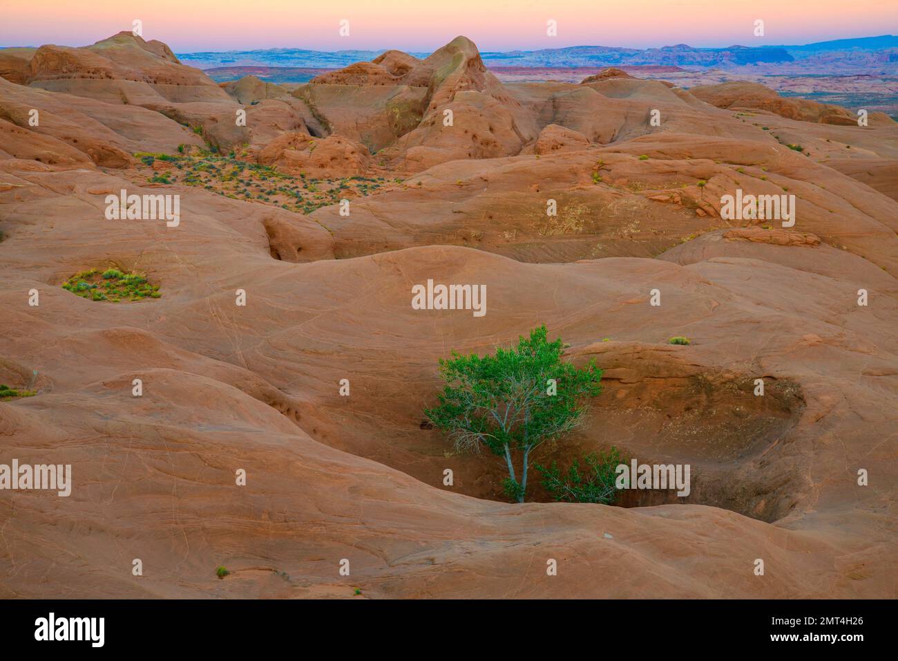 USA, Utah, Southwest, Colorado Plateau, Dance Hall Rock, Historic Site ...