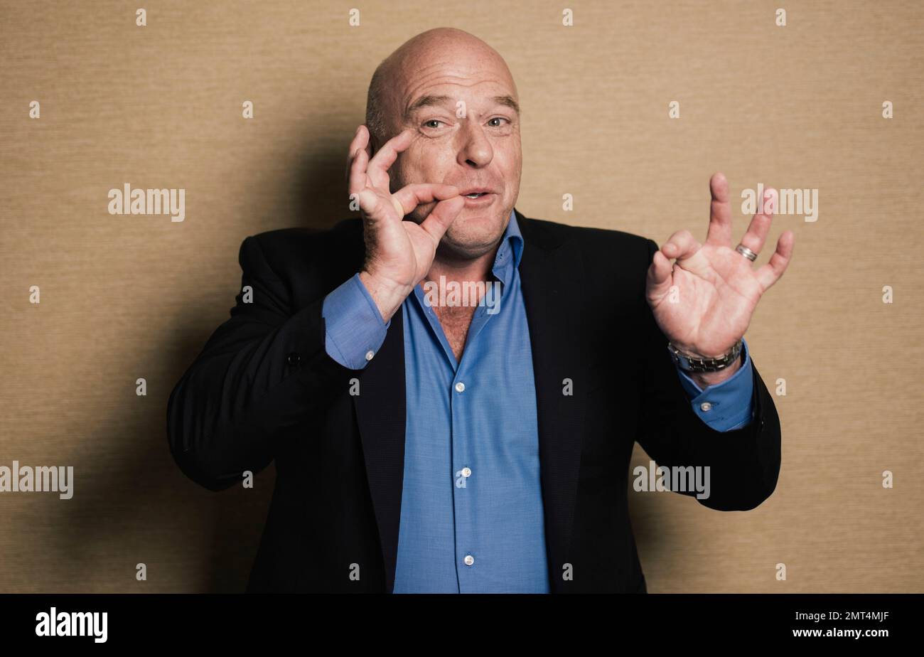 Dean Norris poses for a portrait while promoting TNT's "Claws" during ...