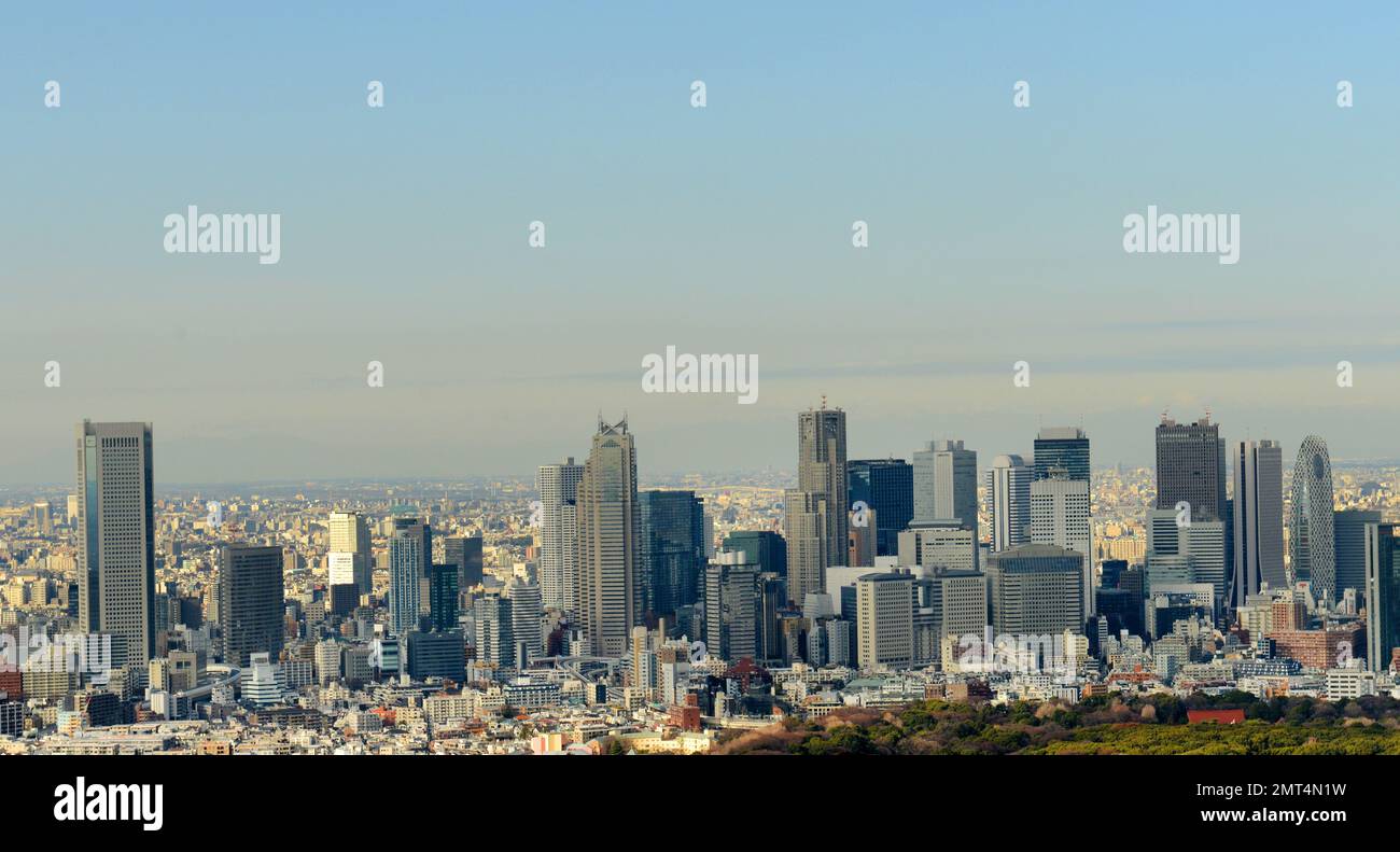 Nishi-Shinjuku modern skyline as seen from the rooftop of the Scramble ...
