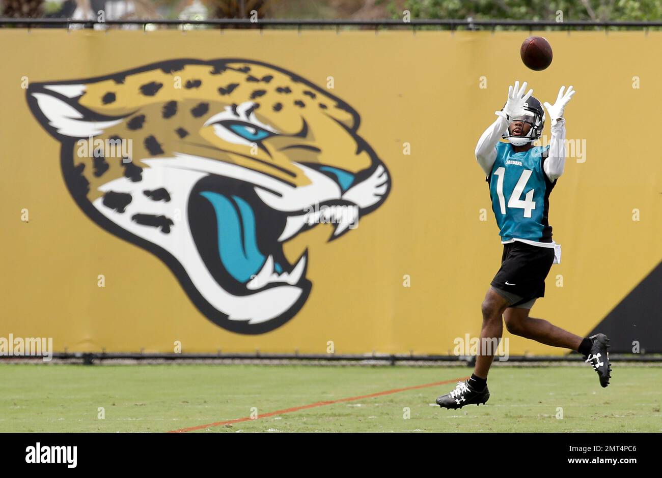Jacksonville Jaguars wide receiver Shane Wynn catches a pass during NFL ...