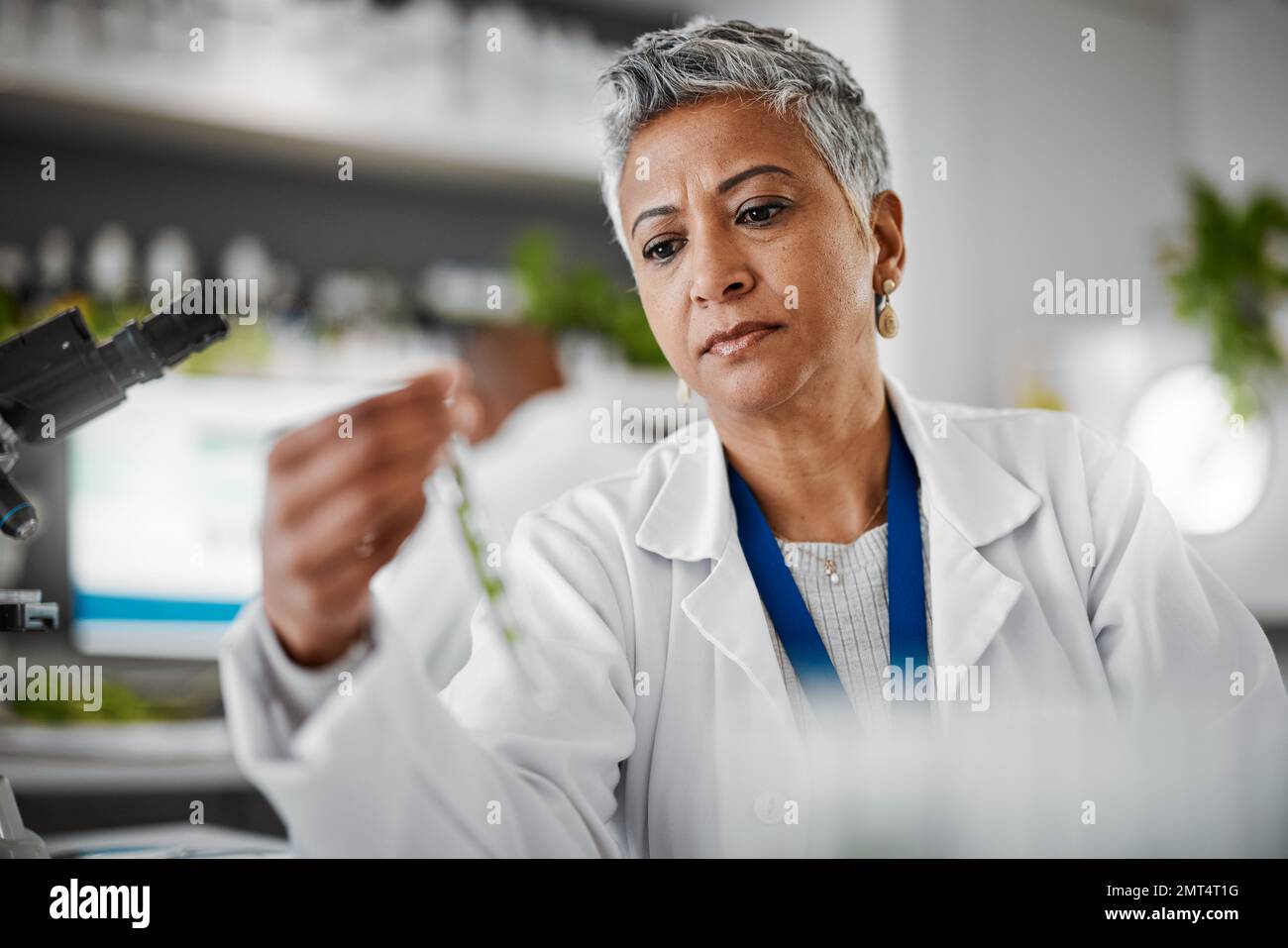 Plant scientist, thinking or test tubes in laboratory pharma, medical ...