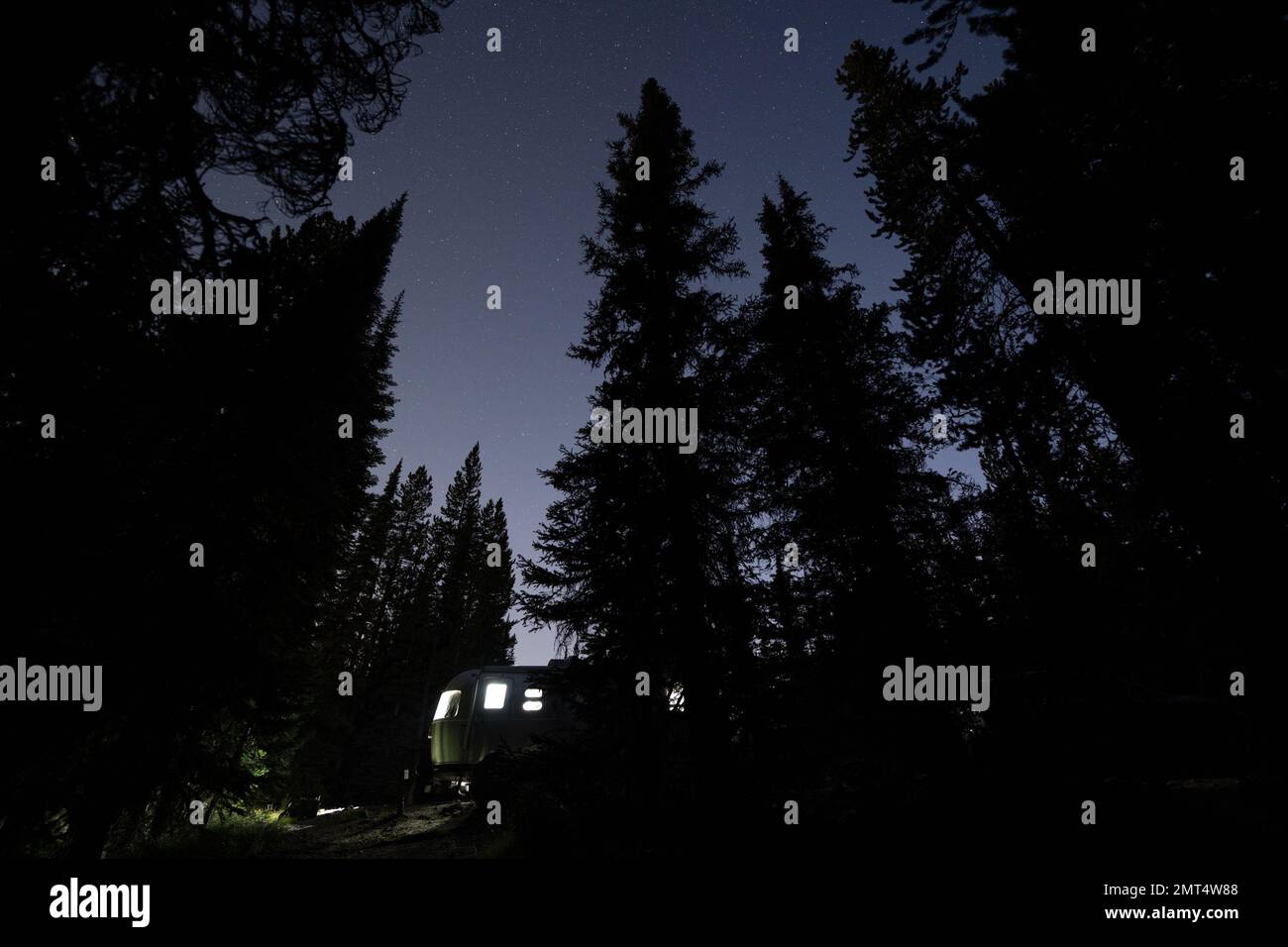 A camping van in a forest surrounded by tall pine trees under the blue ...