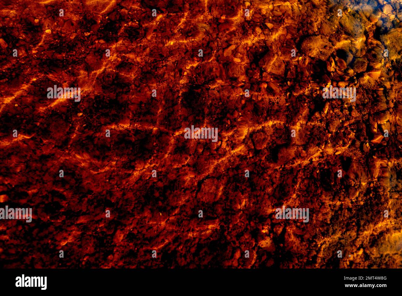 Abstract, natural background in dark burgundy tones. Photo of a ...