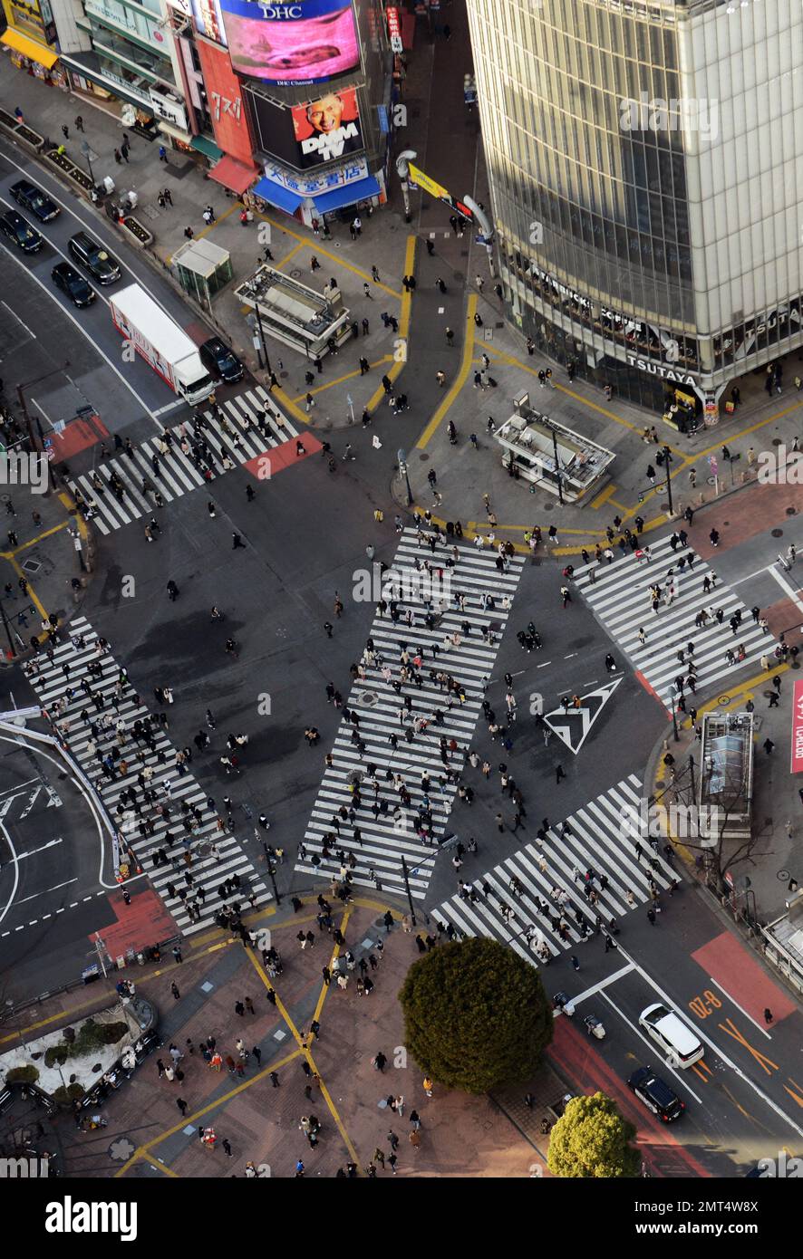 The iconic Shibuya crossing seen from the top of the Scramble Square building in Shibuya, Tokyo ...