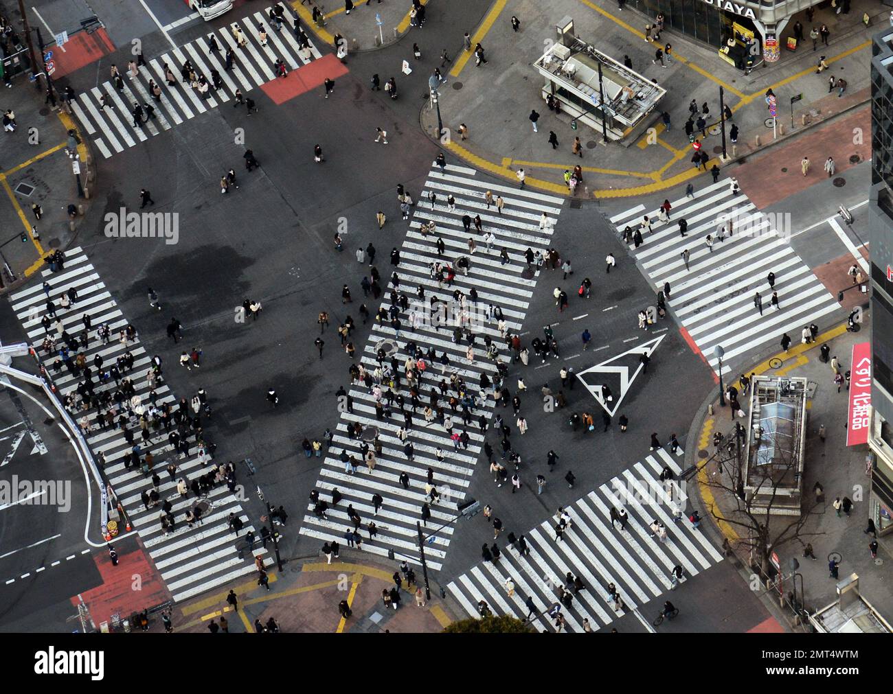 The iconic Shibuya crossing seen from the top of the Scramble Square building in Shibuya, Tokyo ...