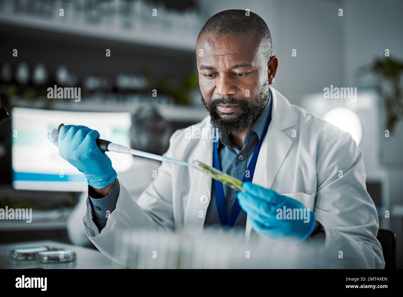 Plants, laboratory and scientist man with natural exam, leaves solution ...