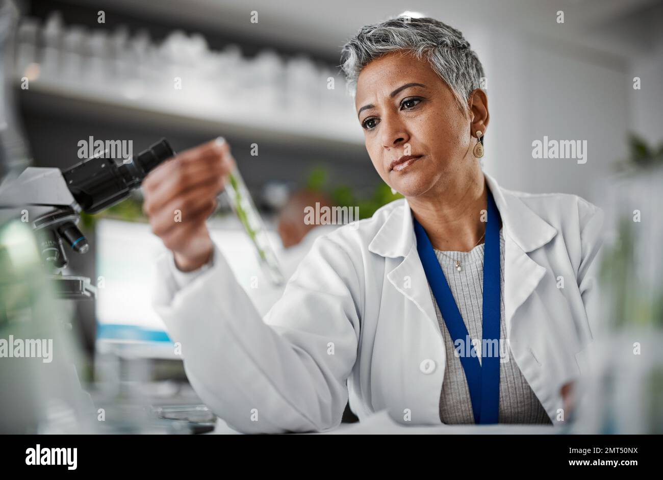 Botany, test tube and senior female scientist doing research ...