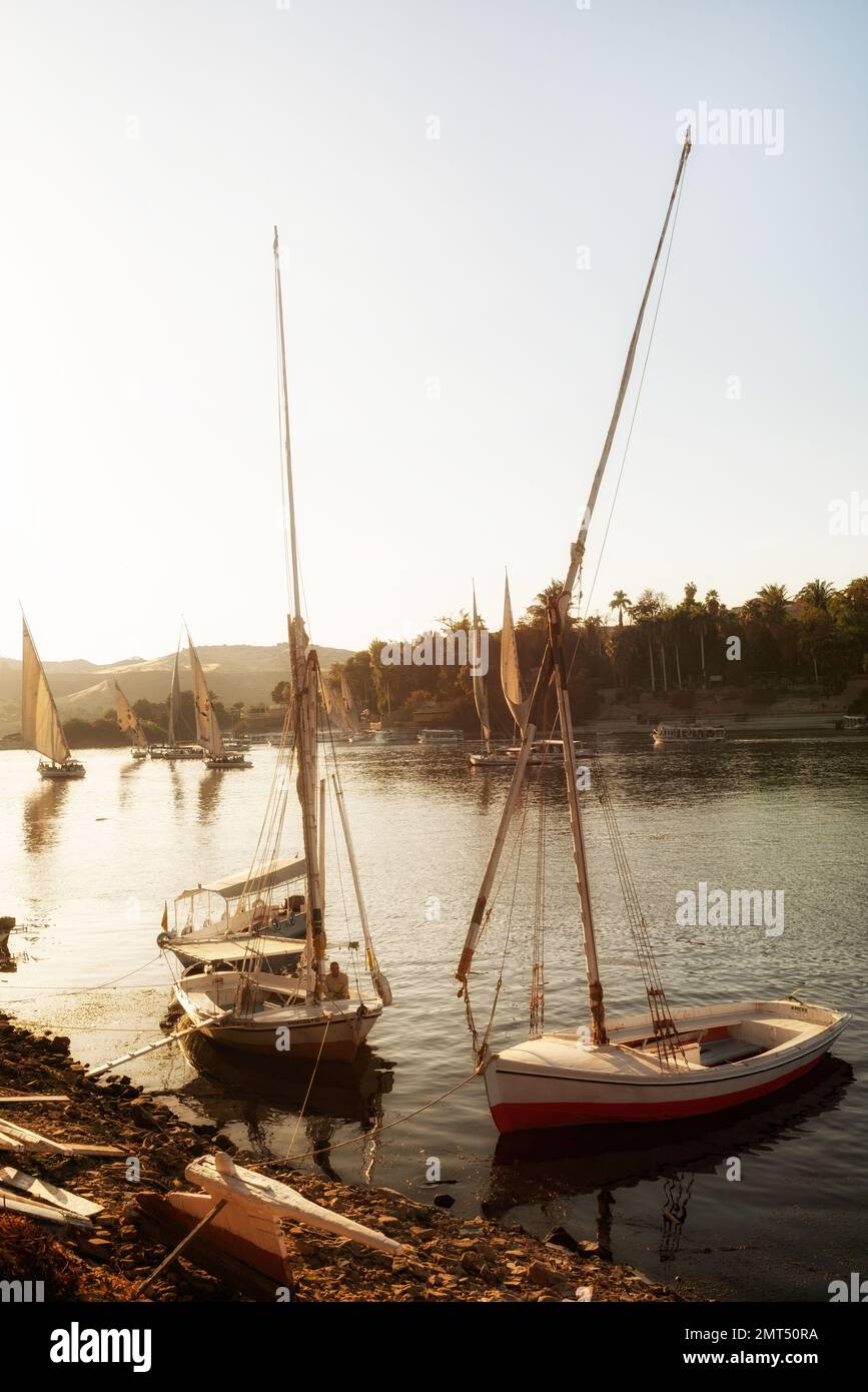 Aswan, Egypt. December 10th 2022 Felucca sailing boats at evening time ...