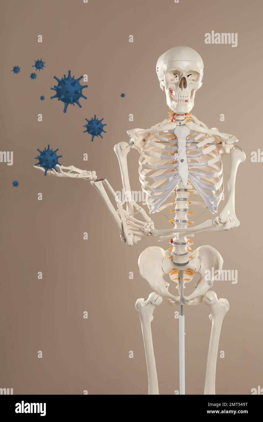 Artificial human skeleton and virus on beige background Stock Photo - Alamy