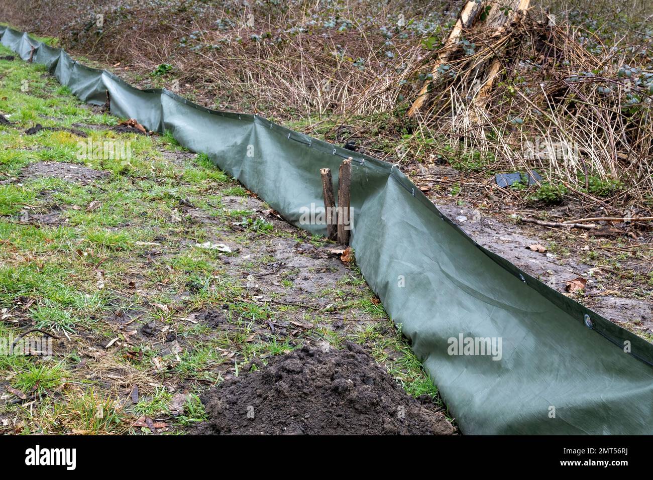 A green frog fence set to prevent frogs from crossing the road in a ...
