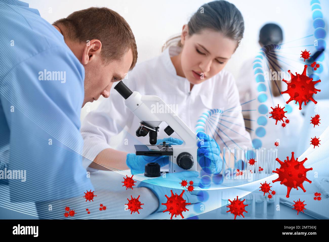 Scientists using modern microscope at table in laboratory. Researching ...