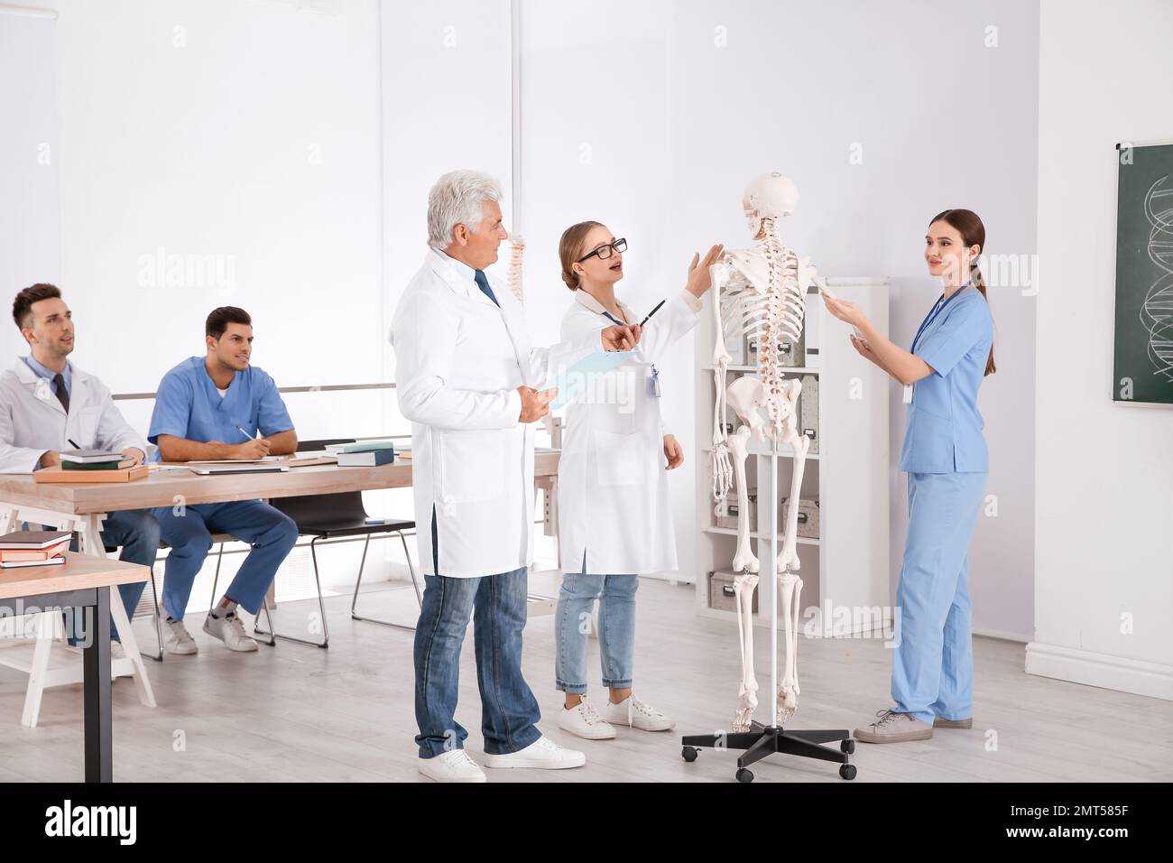 Medical students and professor studying human skeleton anatomy in ...