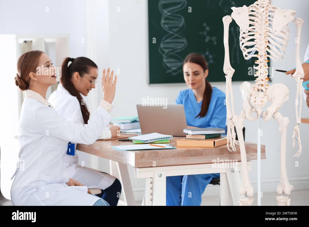 Medical students studying human skeleton anatomy in classroom Stock ...