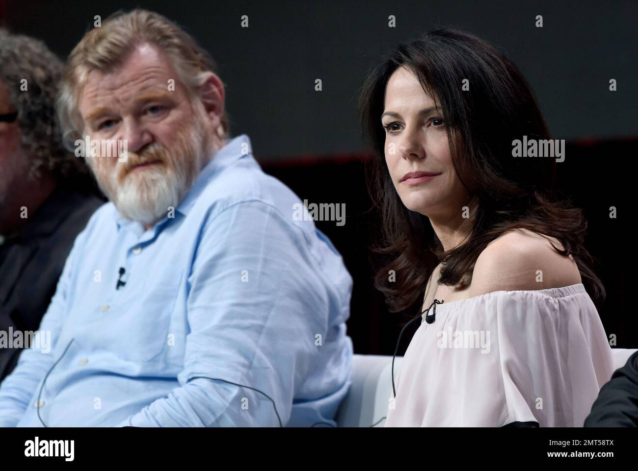 Brendan Gleeson, left, and Mary-Louise Parker participate in the "Mr ...