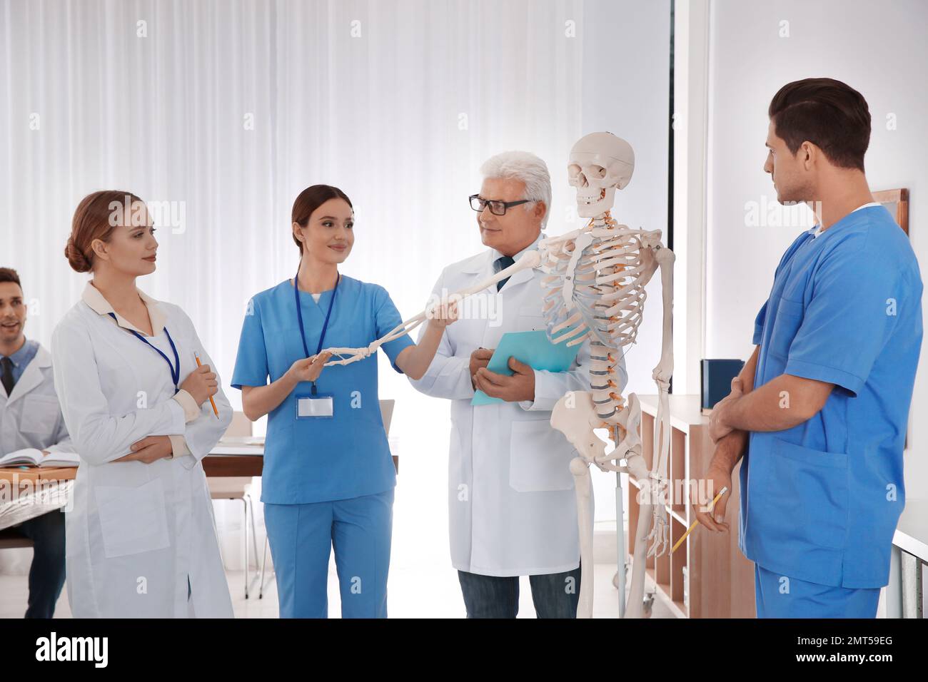 Medical students and professor studying human skeleton anatomy in ...