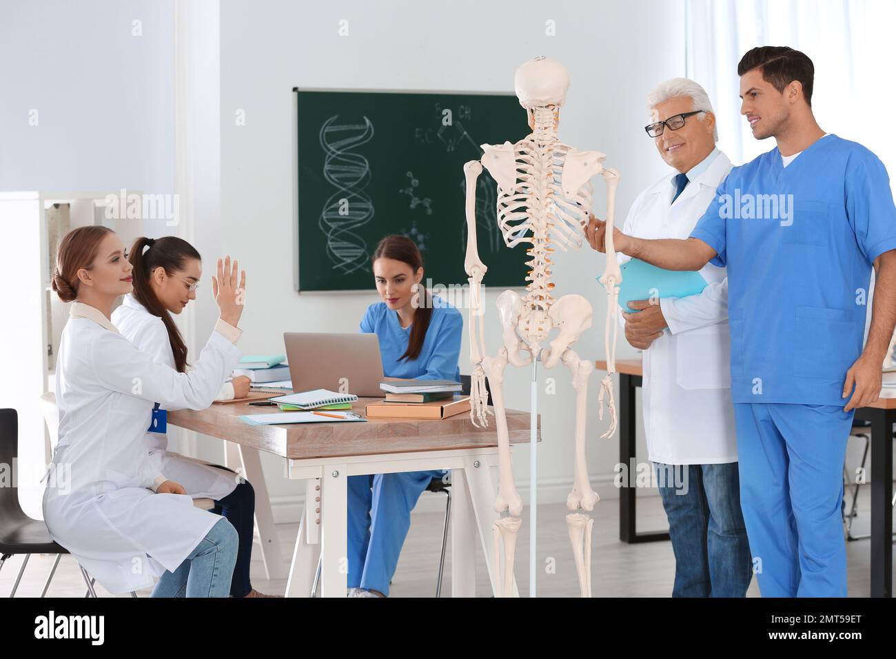Medical students and professor studying human skeleton anatomy in ...