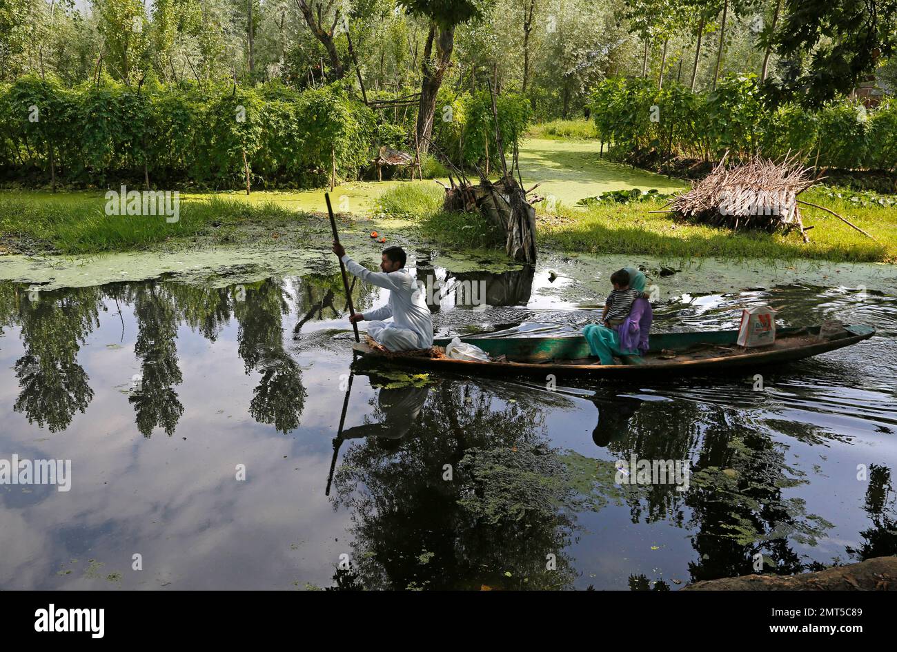 A Kashmiri boatman rows his boat in Dal Lake in Srinagar, Indian ...