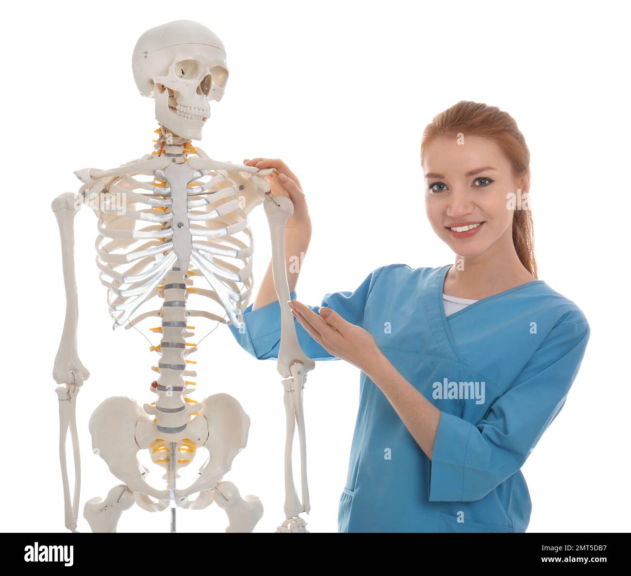 Woman body skeleton on Cut Out Stock Images & Pictures - Alamy
