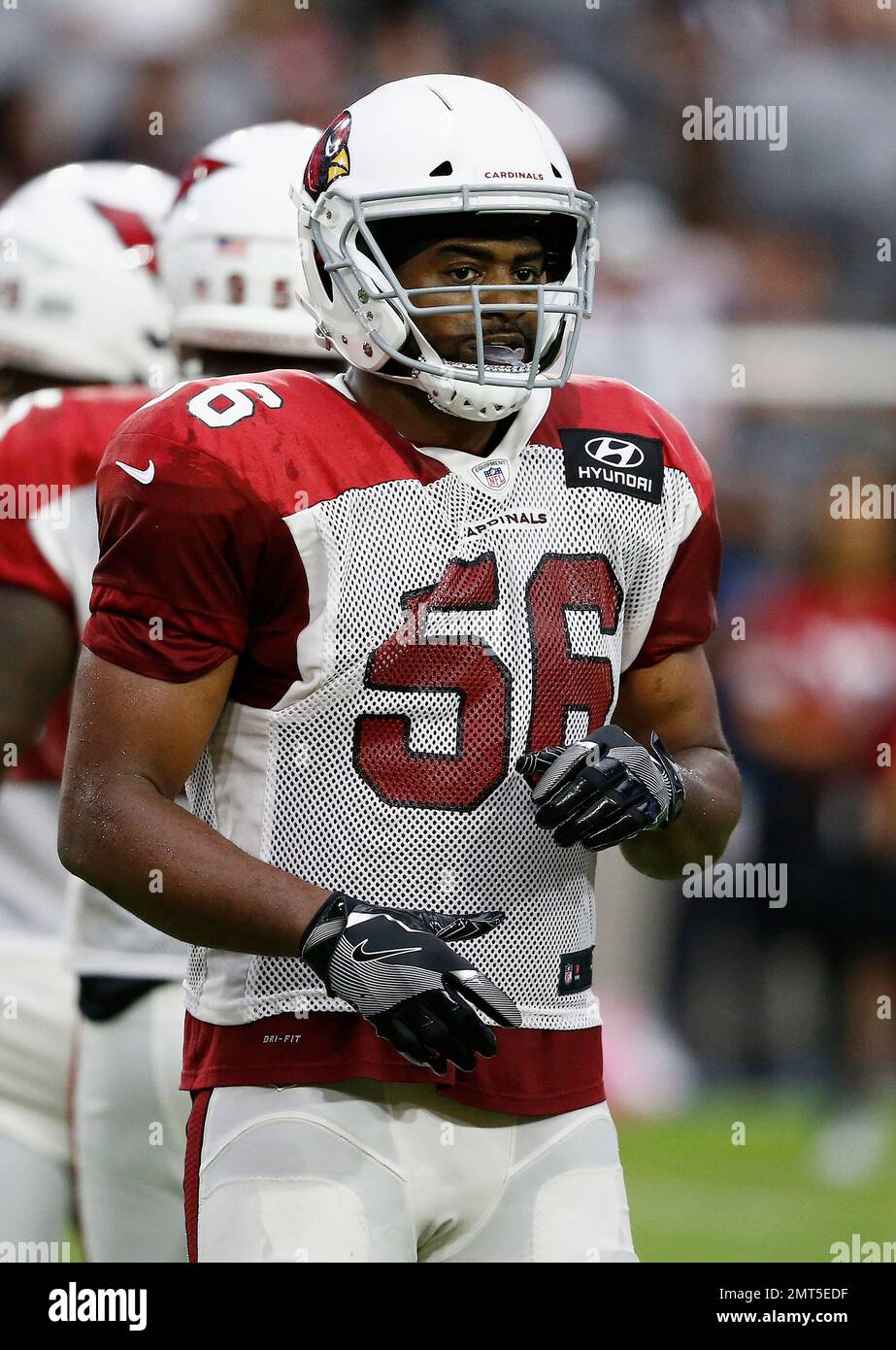Arizona Cardinals linebacker Karlos Dansby pauses after a play during ...