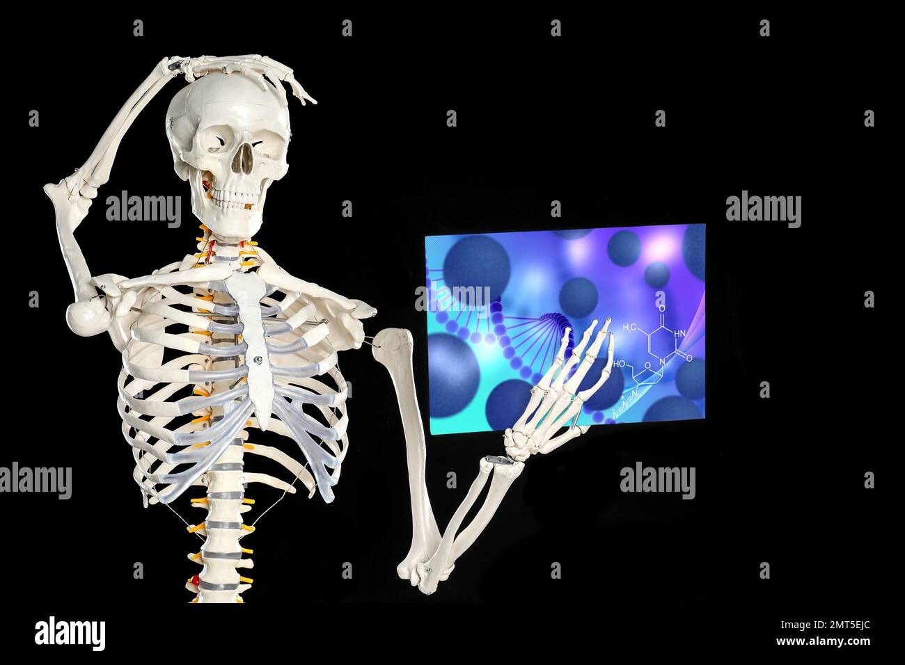 Artificial human skeleton with illustration of virus on black ...