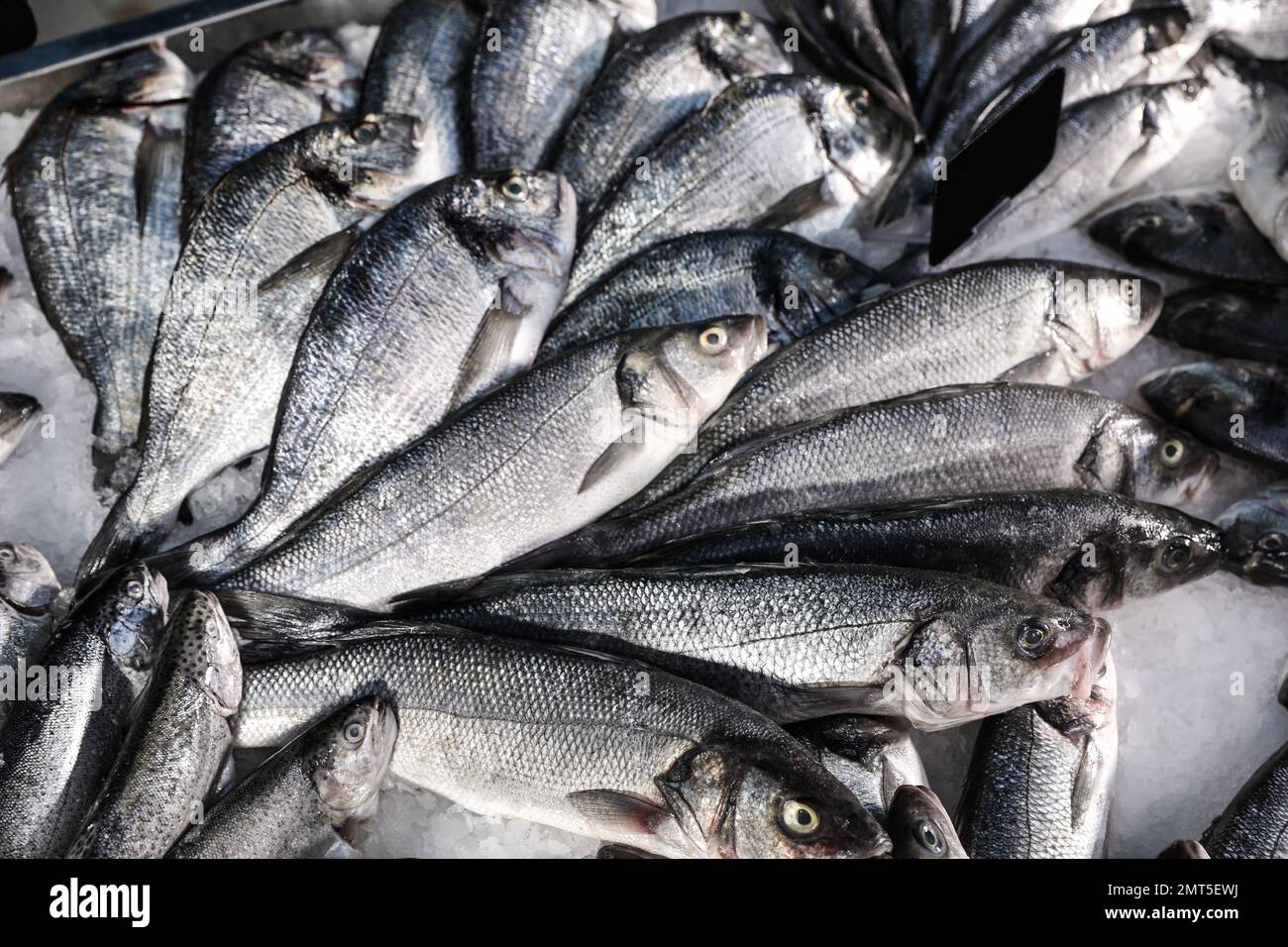 Different types fresh fish on ice in supermarket, above view Stock ...