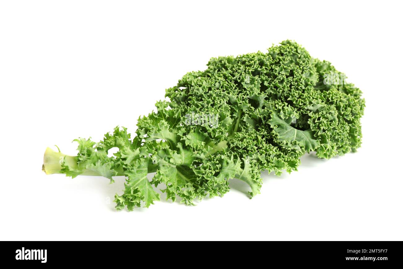 Fresh green kale leaf isolated on white Stock Photo - Alamy